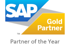 Top ERP Software Partner | SAP Business One | NetSuite | Microsoft NAV ...
