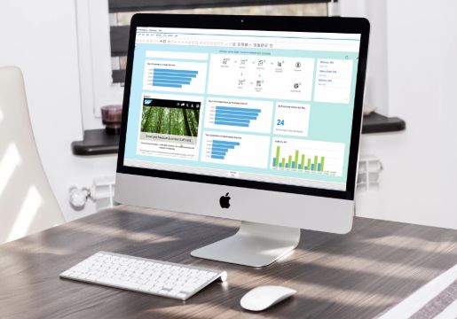 Guide to SAP Business One ERP Software | AFON Singapore